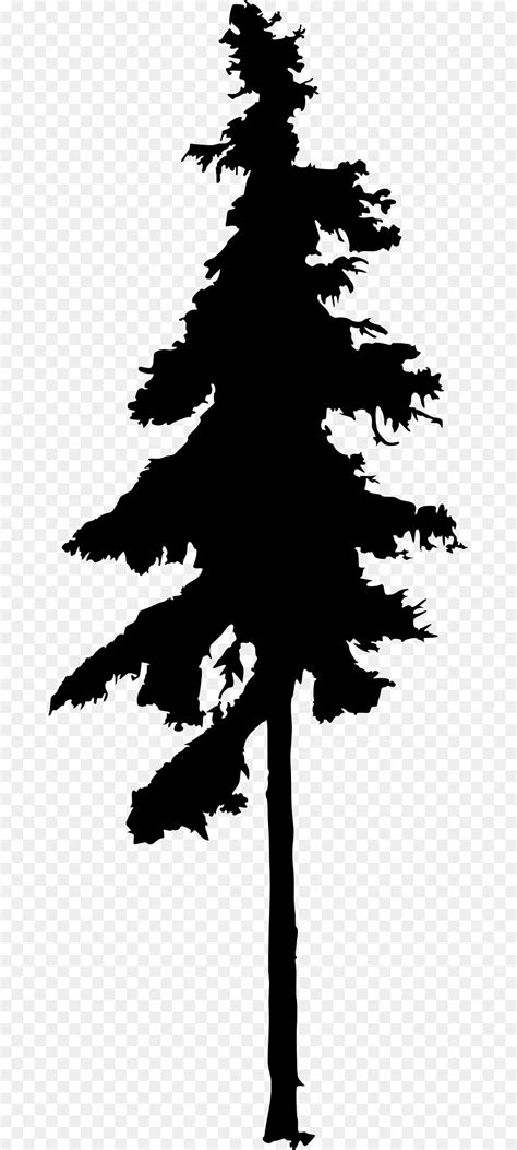 Cedar Tree Silhouette
