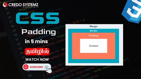 CSS Padding Tutorial CSS Tutorial For Beginners In Tamil Css