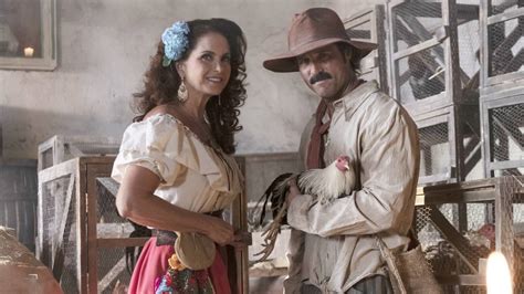 Cuál es la trama de El Gallo de Oro Todo sobre la serie de Lucero y
