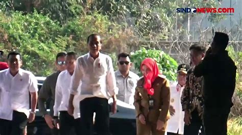 Bagikan Bantuan Beras Di Lampung Presiden Jokowi Juga Siapkan BLT