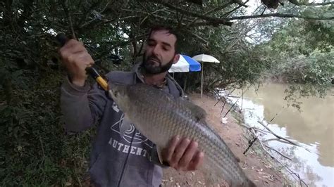 Pescaria De Curimba E Carpa De Barranco Rio Do Peixe YouTube