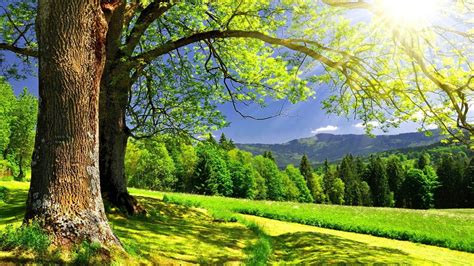 Haut 108 images fond d écran printemps 1920x1080 fr thptnganamst edu vn
