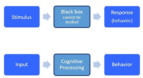 Cognitive Learning Theory Benefits Strategies And Examples B U Ch