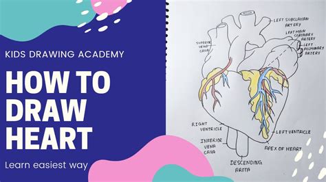 Diagram of heart how to draw heart दल dil ka diagram kaise