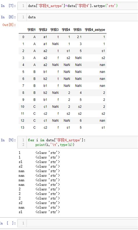 python pandas 里面的数据类型坑，astype要慎用 csdn博客