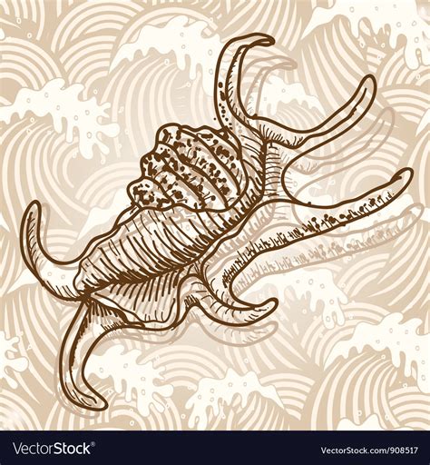 Sea Shell Royalty Free Vector Image Vectorstock