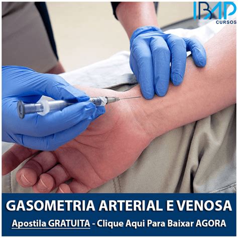 Diferen A Do Sangue Venoso E Arterial