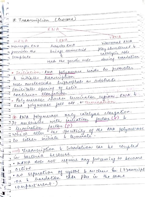 biology class 12th chapter 6 molecular basis of inheritance handwritten notes pdf shop
