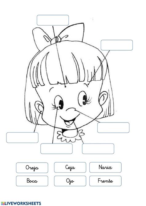 Colocar Partes De La Cara Ficha Interactiva Partes De La Cara