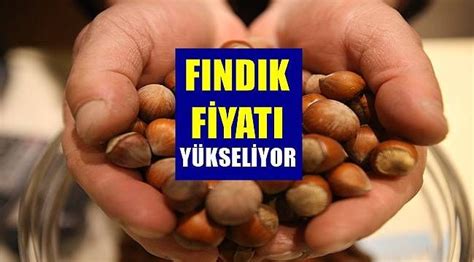 Serbest piyasa fındık fiyatları şahlandı 1 ton fındık kaç TL 2023 22