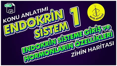 Endokrin Sistem 1 Endokrin Sistem Giriş ve Hormonların Özellikleri