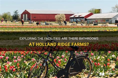Exploring The Facilities Are There Bathrooms At Holland Ridge Farms