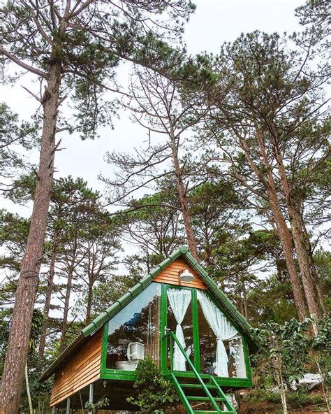 Top 8 homestay Đà Lạt đẹp lãng mạn mê mẩn lòng người Du Lịch Chất
