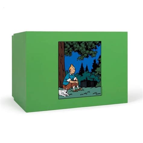Tintinimaginatio Kuifje Beeld Kuifje Zittend In Het Gras Collectura