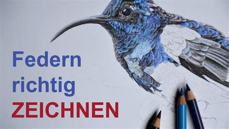 Federn Richtig Zeichnen Speed Drawing Time Lapse Portrait Nach