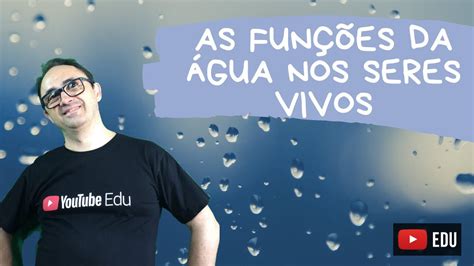 AS FUNÇÕES DA ÁGUA NOS SERES VIVOS YouTube
