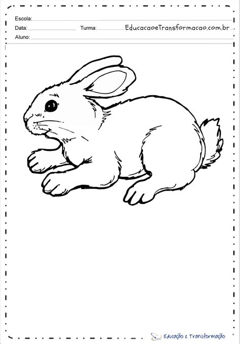 Desenho De Coelho Para Colorir E Imprimir Moldes De Coelhos