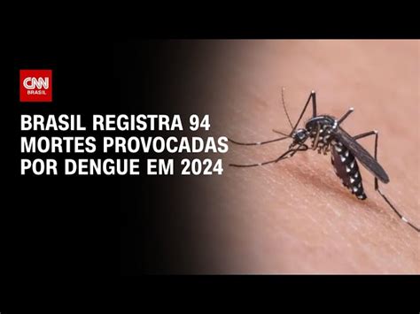 Brasil Registra Mais De 550 Mil Casos De Dengue Em 2024 CNN Brasil