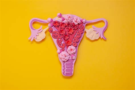 A Amy Schumer Le Quitaron El útero Por Endometriosis Conoce Los Síntomas De Esta Enfermedad