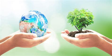 Ecología Concepto información ramas y ciencias auxiliares