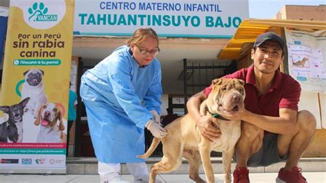 VAN CAN 2023 Más de 228 mil canes fueron protegidos contra la rabia en