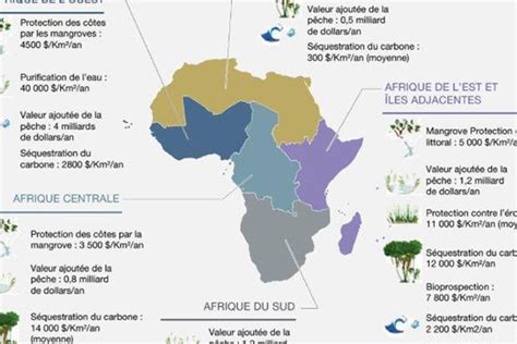 République démocratique du Congo Centre dÉtudes Stratégiques de l