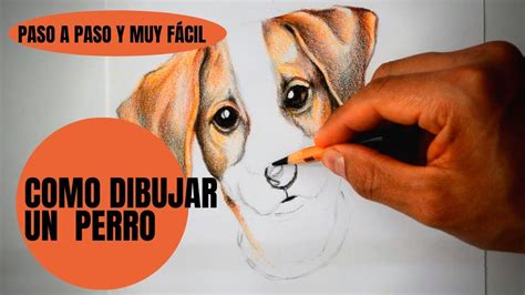 Como Dibujar Paso a Paso Un Perro Realista Muy Fácil