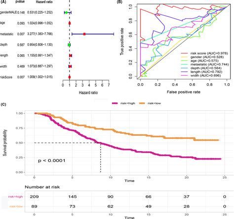 Relationship Between Clinical Features And Prognosis Of Osteosarcoma