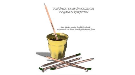 Tohumlu Kurşun Kalem YouTube
