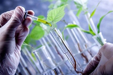 Bioquiuniverso QUE ES BIOQUÍMICA