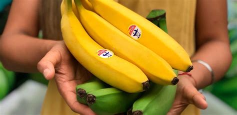 Exportación de cajas de banano creció 4 46 entre enero y abril de 2023