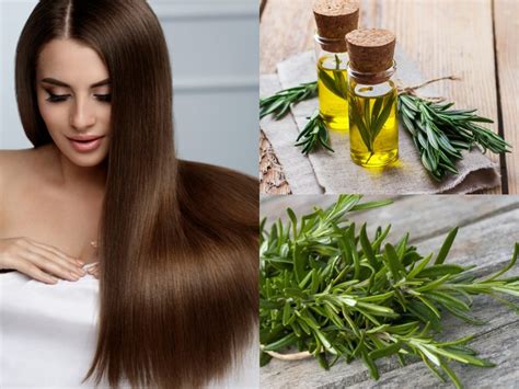 Tratamiento con romero para evitar la caída del cabello y hacerlo