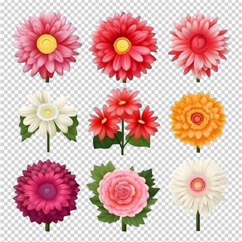 Premium PSD Collection Of 3d Realistic Potted Plants For The Interior Png