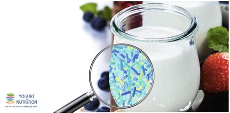 El Impacto De Yogur En La Microbiota Intestinal Yogurt In Nutrition
