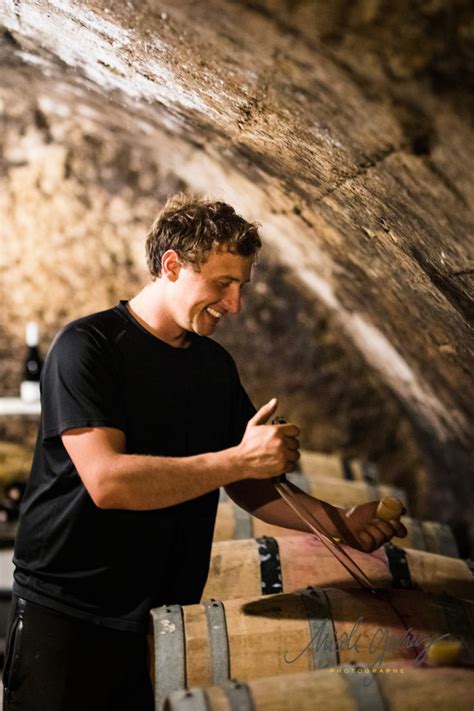 Domaine De Bel Air Romain Desbrosses D Couvrez Les Vins Du Centre
