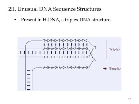 PPT Nucleic Acid Structure And Stability PowerPoint Presentation