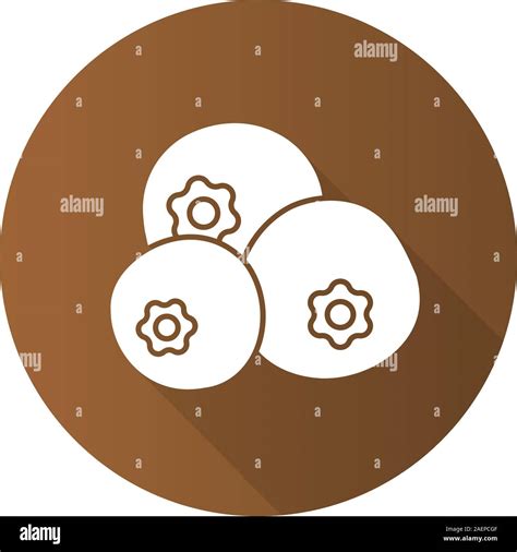 Allspice Flat Design Long Shadow Glyph Icon Pimento Vector Silhouette