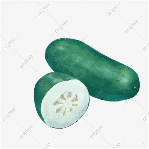 Otoño Rocío Blanco Otoñal Cosecha PNG Ilustración Melón La