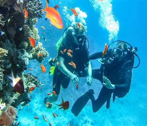 Explore The Depths With Scuba Diving Adventure In The Water Of Andaman