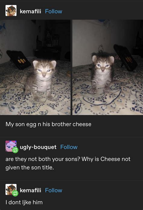 Justice For Cheese R Tumblr