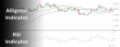 How To Use The Alligator Indicator For Beginners Blog