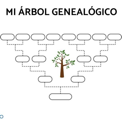 Details Los Rboles Geneal Gicos Abzlocal Mx F