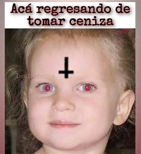 Cuando Tus Chichis Se Divorcian Memes