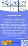 Simple Diffusion Vs Facilitated Diffusion 6 Key Differences Examples