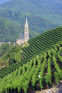 Vignes En Pente Caprice Du Vigneron L Accord DiVin