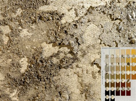 Printable Soil Color Charts 7 5 Yr