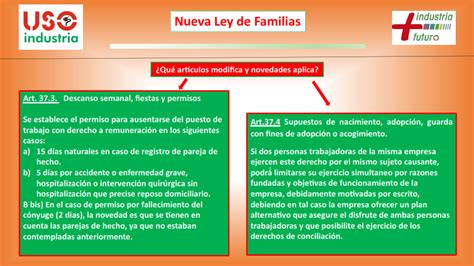 Infografia Resumen Nueva Ley De Familias