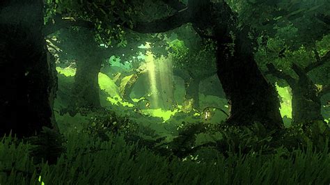Korok Wald Hd Hintergrundbild Pxfuel