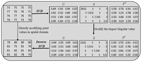 applied sciences free full text robust image watermarking in spatial domain utilizing