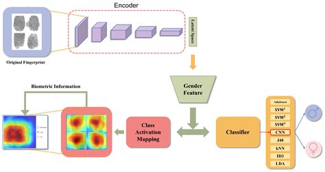 applied sciences free full text extracting fingerprint features using autoencoder networks